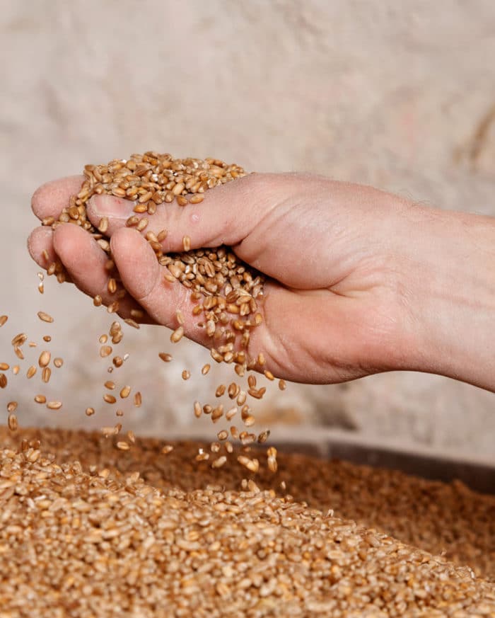 LESAFFRE, le spécialiste de la levure et de la fermentation | LESAFFRE