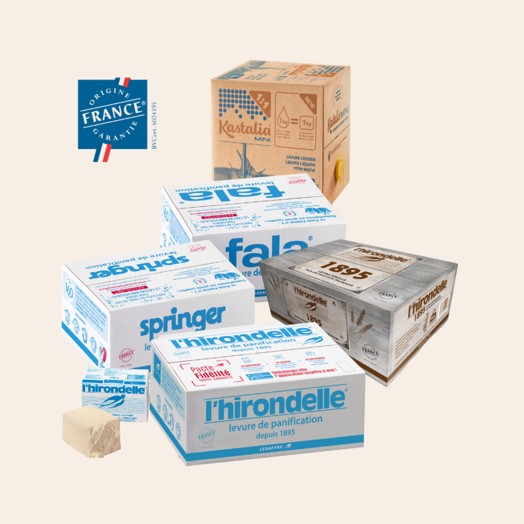 Les actualités et événements du groupe | LESAFFRE